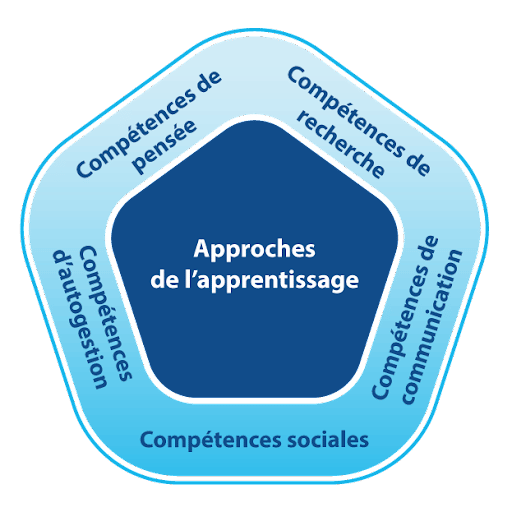 Présentation de l'IB - L'Odyssée